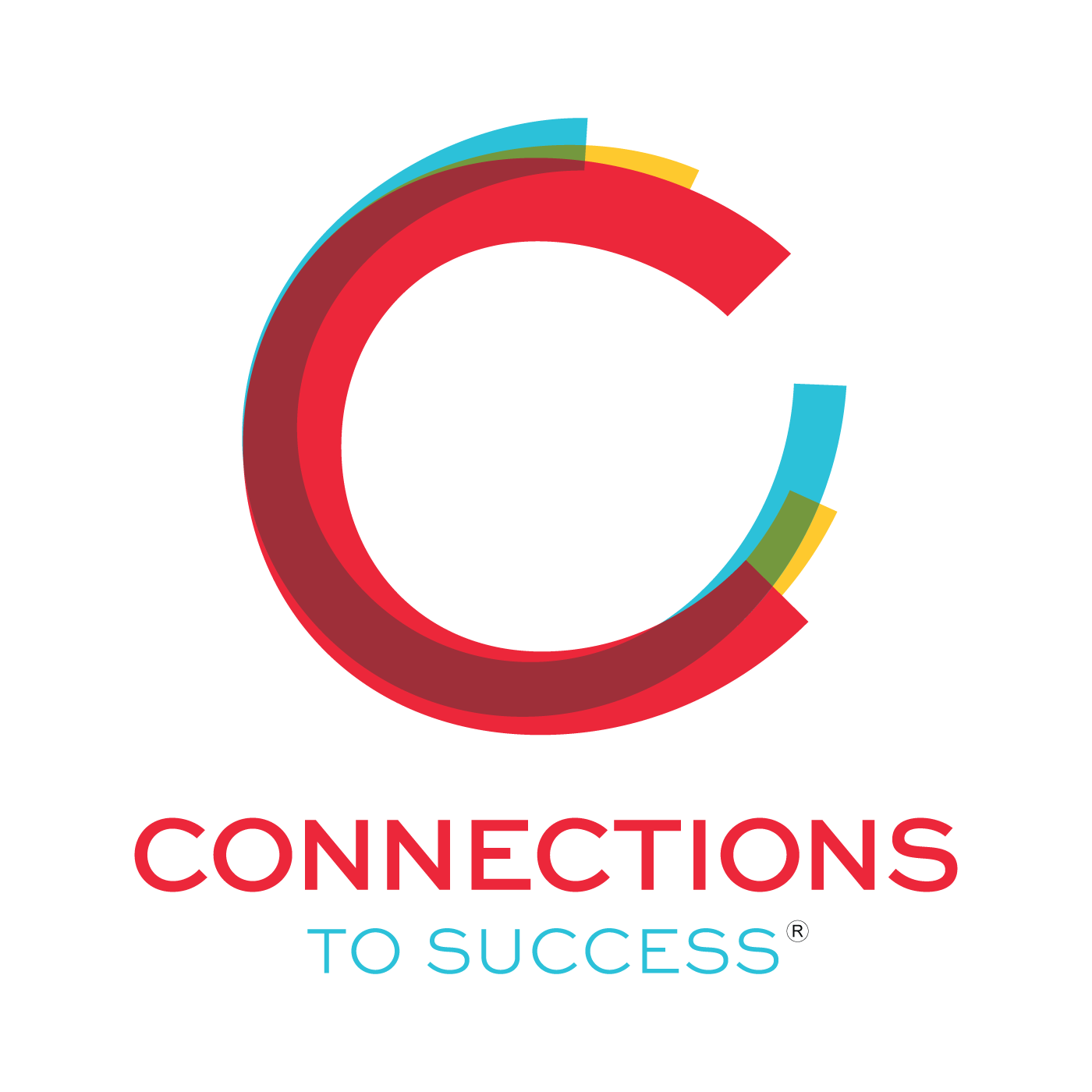 Donate Now | Connections to Success